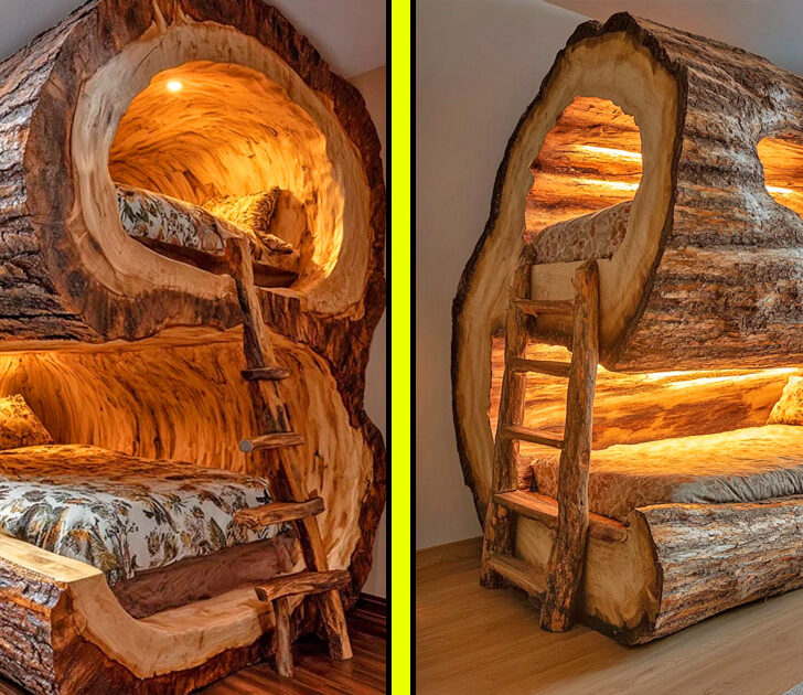 These Giant Hollowed Log Bunk Beds Are Un-be-Leaf-able Statement Pieces ...