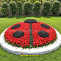 These Insect Gardens Are Buzzing With Whimsy and Wow Factor