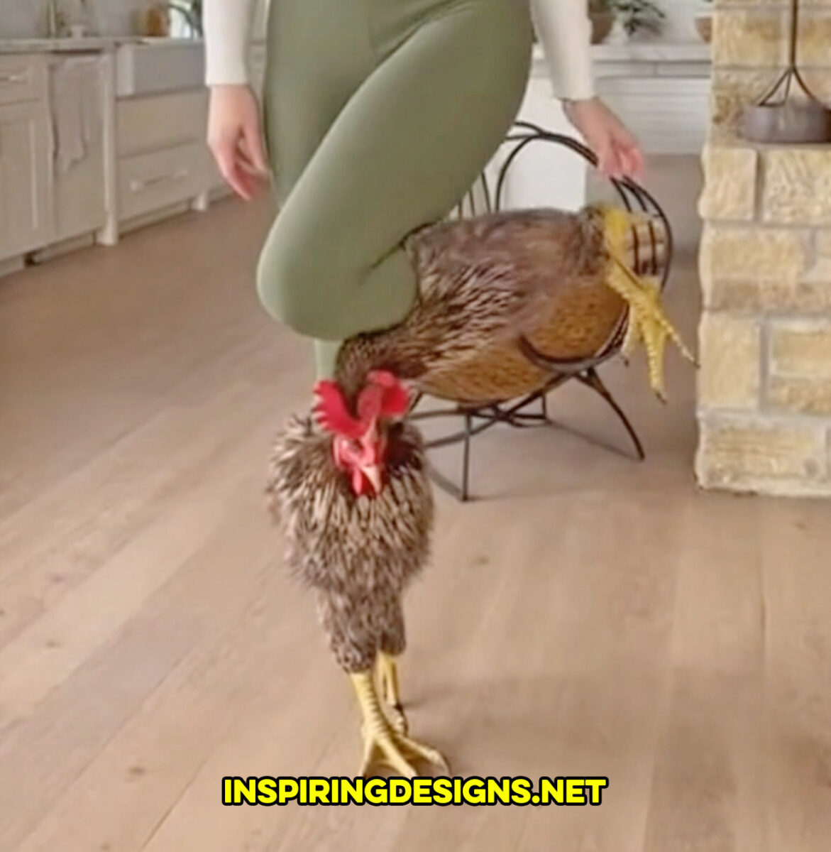 Chicken Heels: The Viral Chicken Boots and Stilettos Everyone Is ...