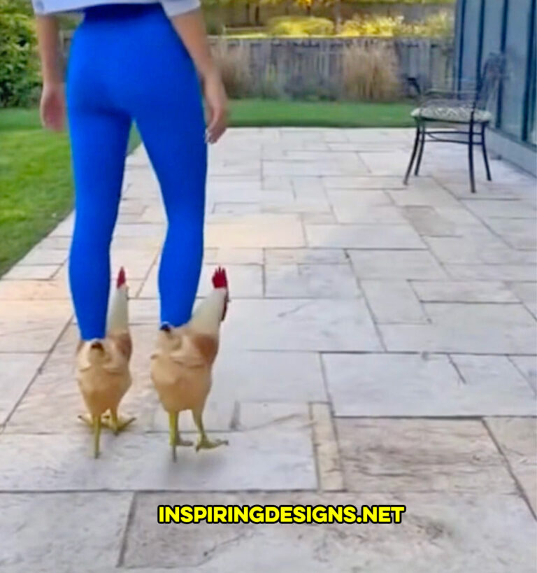 Chicken Heels: The Viral Chicken Boots and Stilettos Everyone Is ...