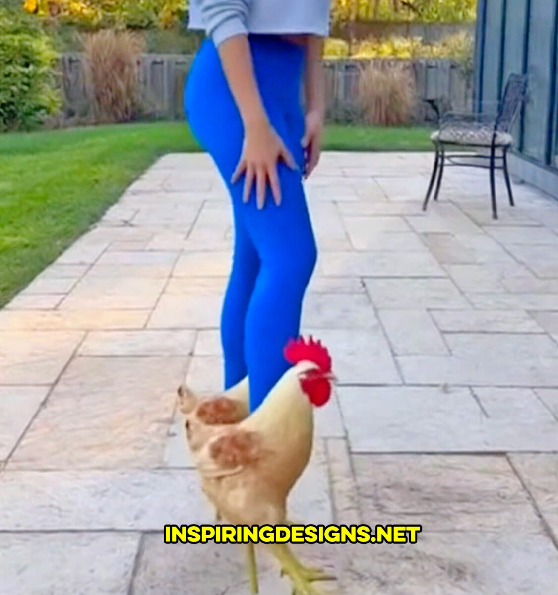 Chicken Heels: The Viral Chicken Boots and Stilettos Everyone Is ...