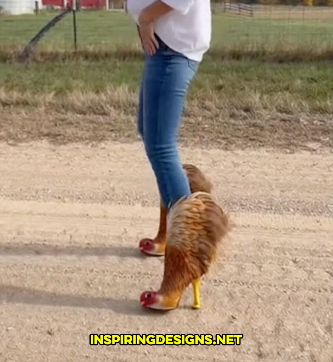 Chicken Heels: The Viral Chicken Boots and Stilettos Everyone Is ...