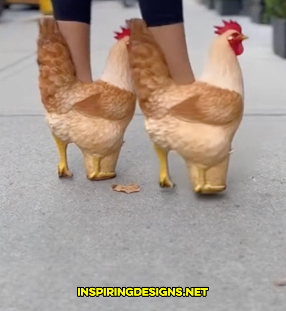 Chicken Heels: The Viral Chicken Boots and Stilettos Everyone Is ...