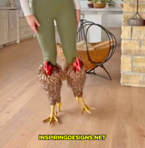 Chicken Heels: The Viral Chicken Boots and Stilettos Everyone Is ...