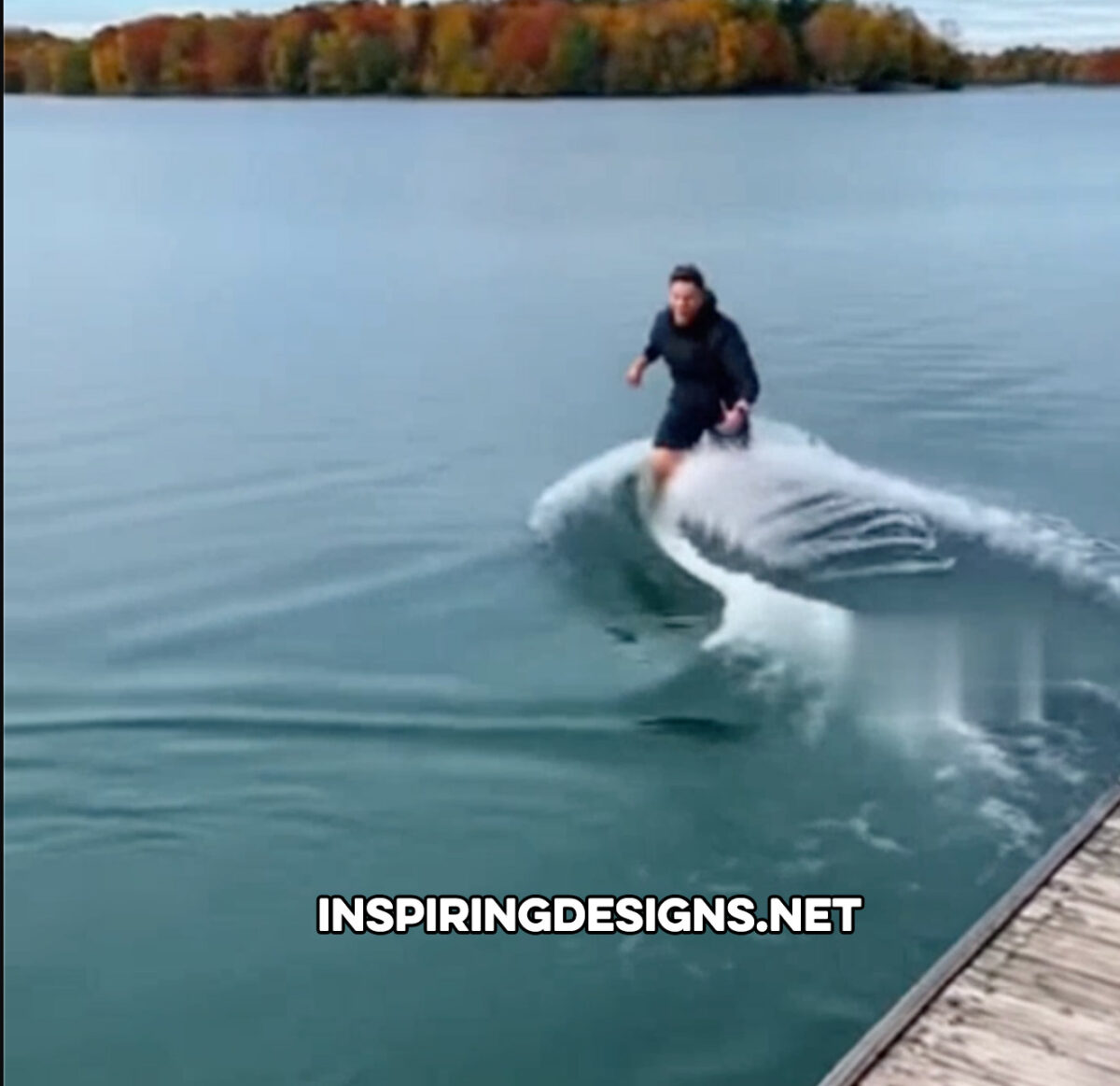 Water Jet Shoes: Jet Powered Sneakers That Let You Walk and Glide on Water